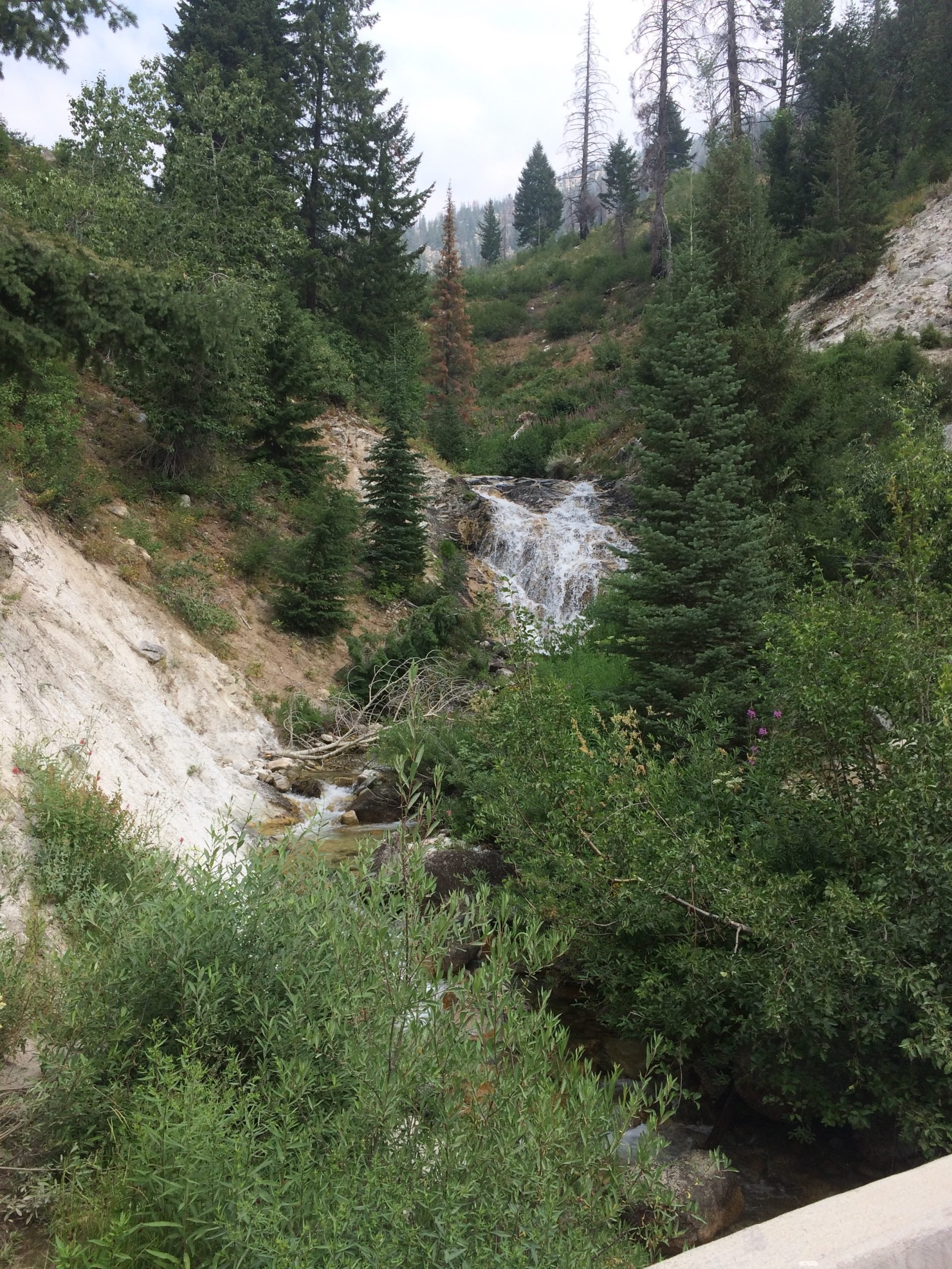 Top Things to Do - Elmore County, Idaho